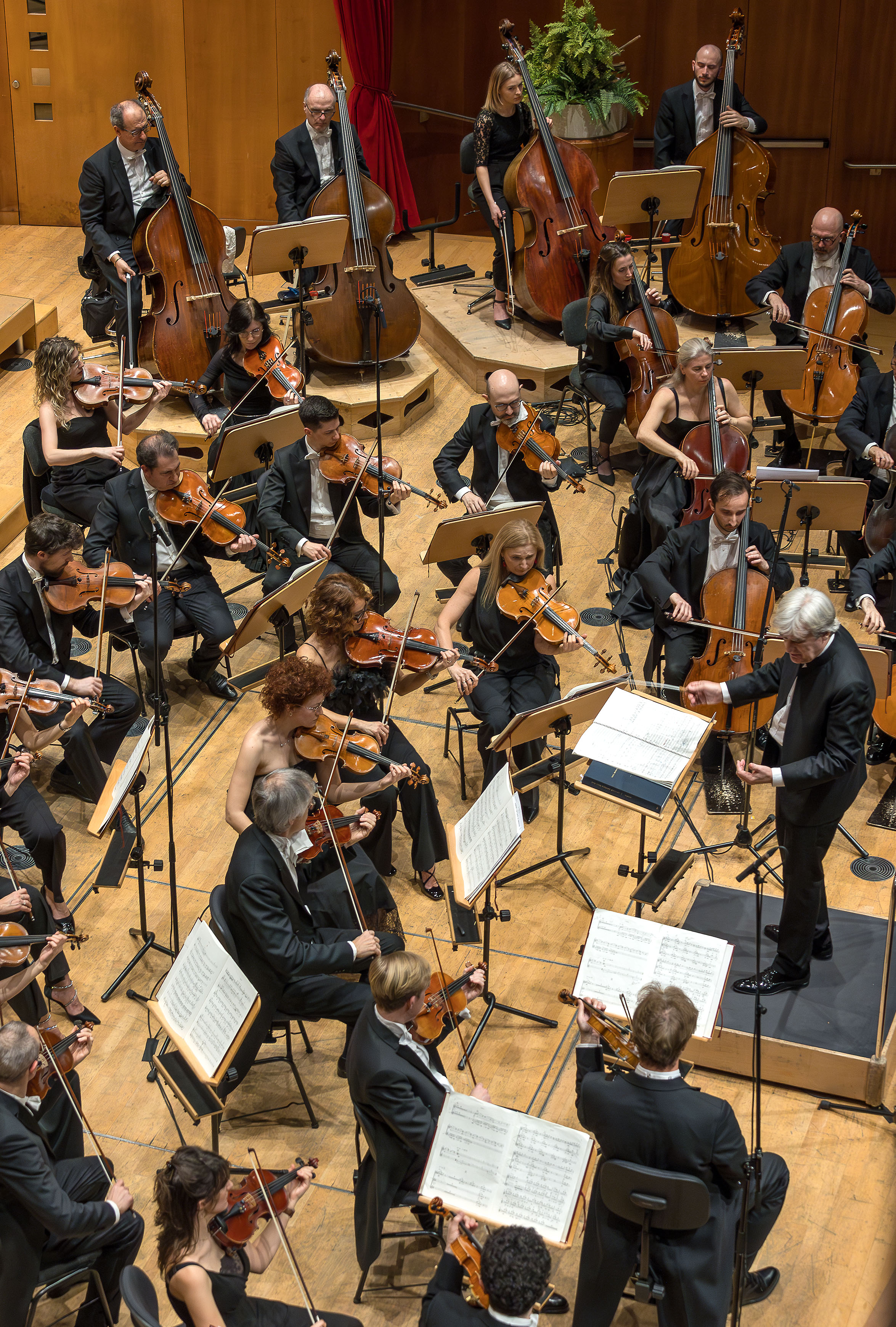 “Più verità che bellezza”. | SALTO