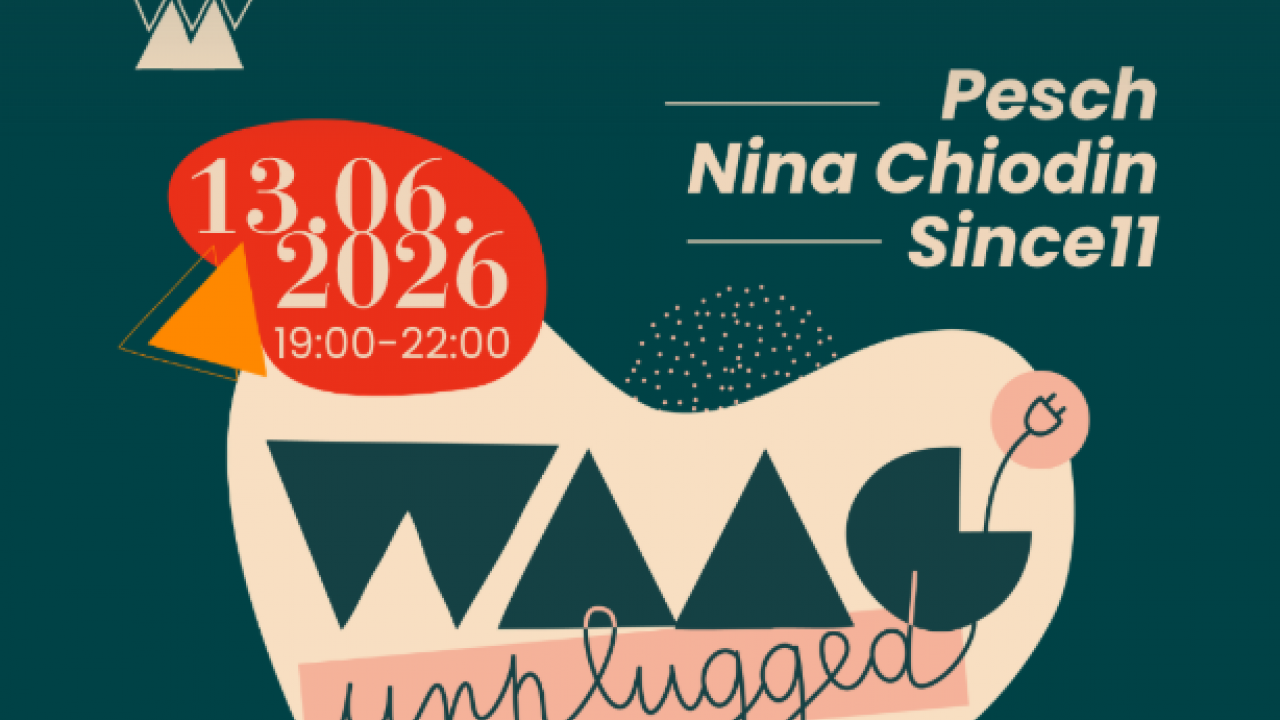 Sommerabend mit Waag Unplugged | SALTO