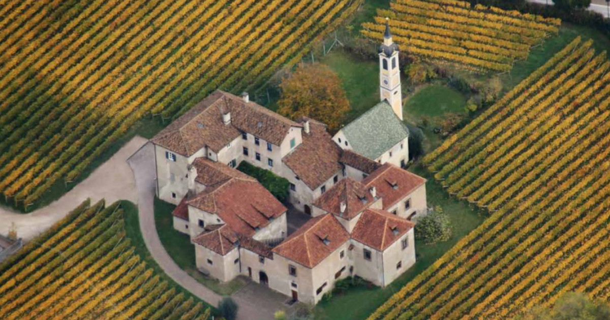 Der Wein von Maria Heim | SALTO